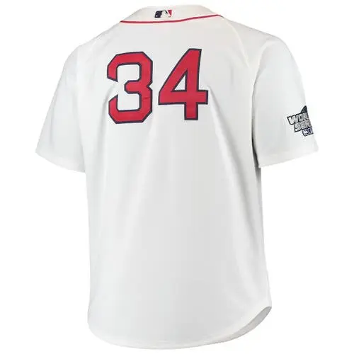 Mitchell & Ness David Ortiz Boston Red Sox Authentic Player Jersey