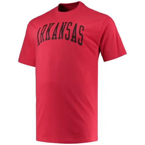 Champion Arkansas Razorbacks Big & Tall Arch Team Logo T-shirt