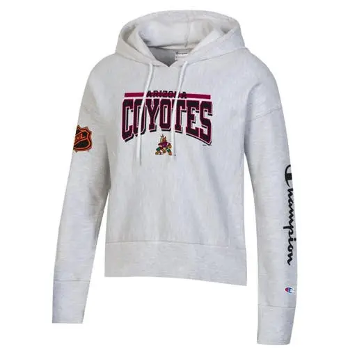 Champion Heathered Gray Arizona Coyotes Reverse Weave Pullover Hoodie