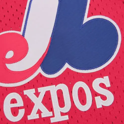Mitchell & Ness Tim Raines Montreal Expos Batting Practice Jerseyred