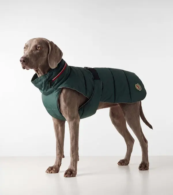 Moncler Poldo Dog Couture Dog Coat - Green