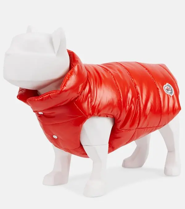 Moncler Poldo Dog Couture Dog Coat