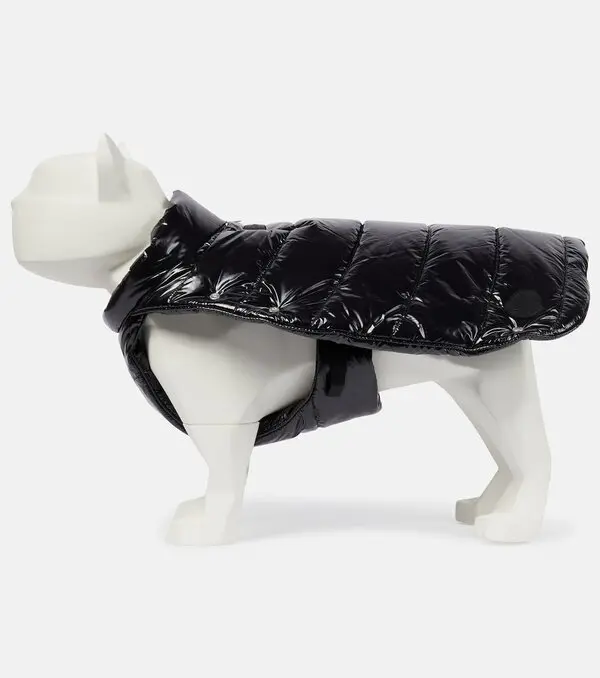 Moncler 6 1017 Alyx 9sm Dog Coat