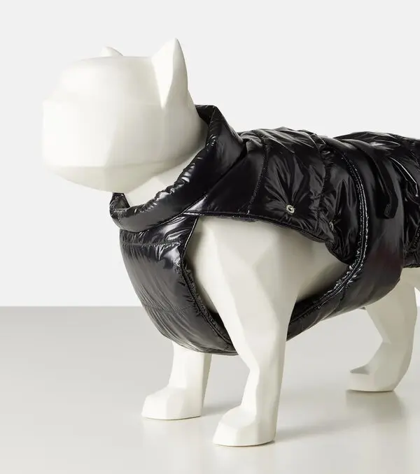 Moncler 6 1017 Alyx 9sm Dog Coat