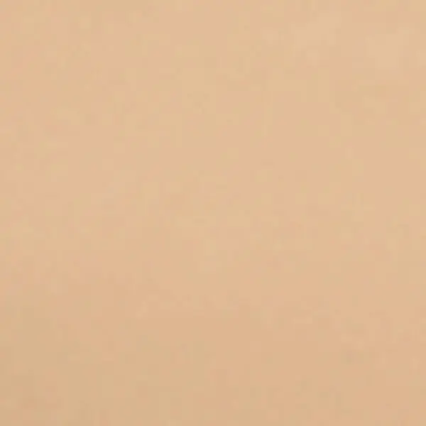 LANCOME Teint Idole Ultra Wear All Over Concealer - Neutral