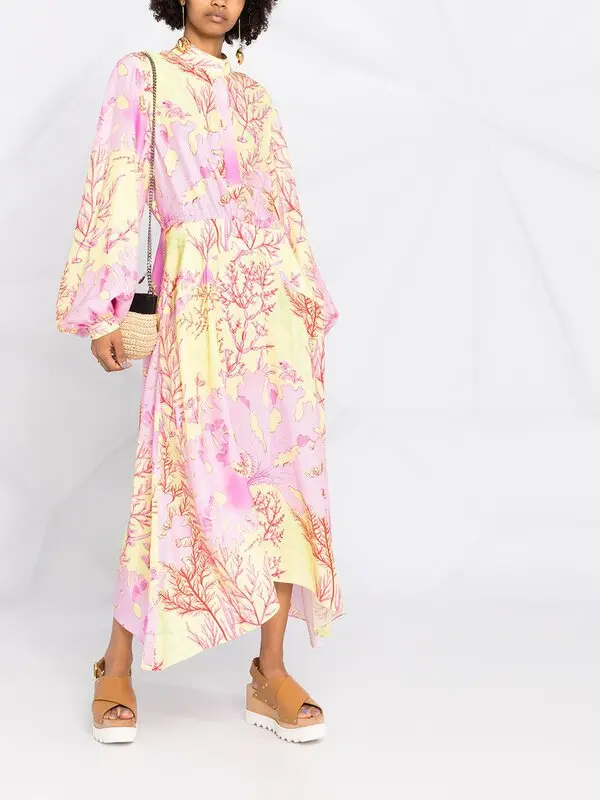 Stella McCartney Coral-print Maxi-dress