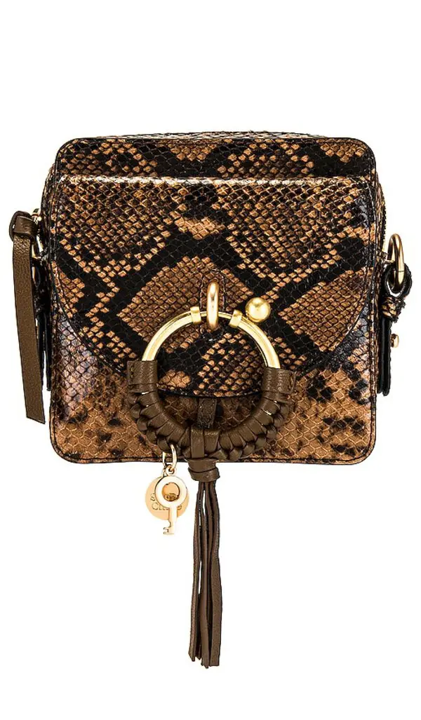 See By Chloé Joan Small Camera Bag In Brown