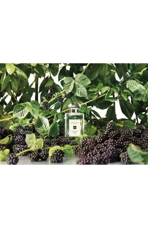 JO MALONE LONDON™ Blackberry & Bay Cologne