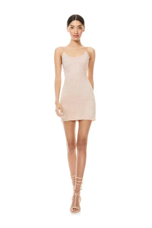 austin mini dress Austin Long Sleeve Mini Dress