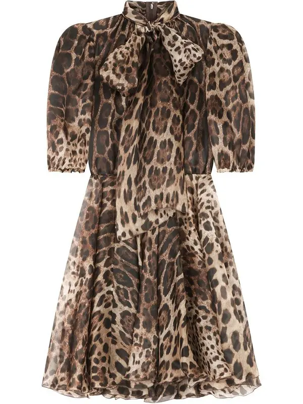 Dolce & Gabbana Leopard-print Organza Mini Dress
