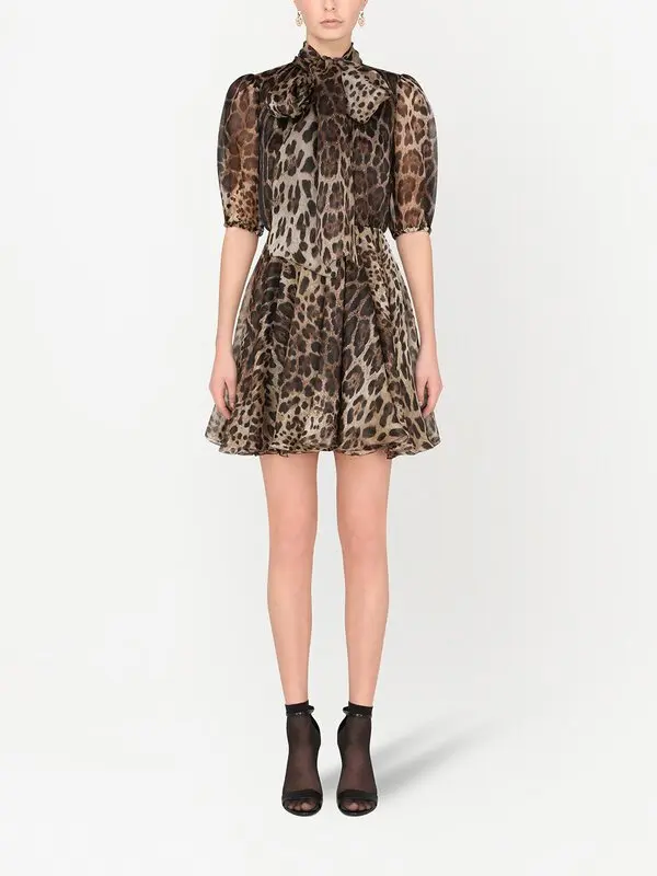 Dolce & Gabbana Leopard-print Organza Mini Dress