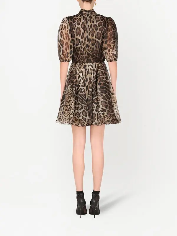 Dolce & Gabbana Leopard-print Organza Mini Dress