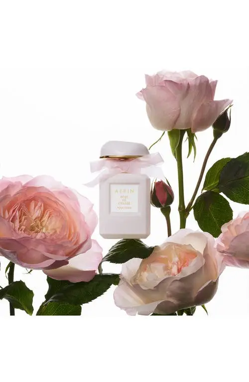 Estée Lauder Aerin Rose De Grasse Pour Filles Eau De Toilette Spray
