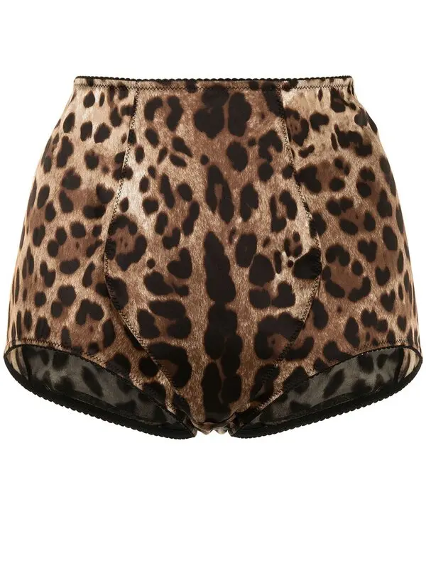 Dolce & Gabbana Leopard-print High-waisted Briefs - Brown