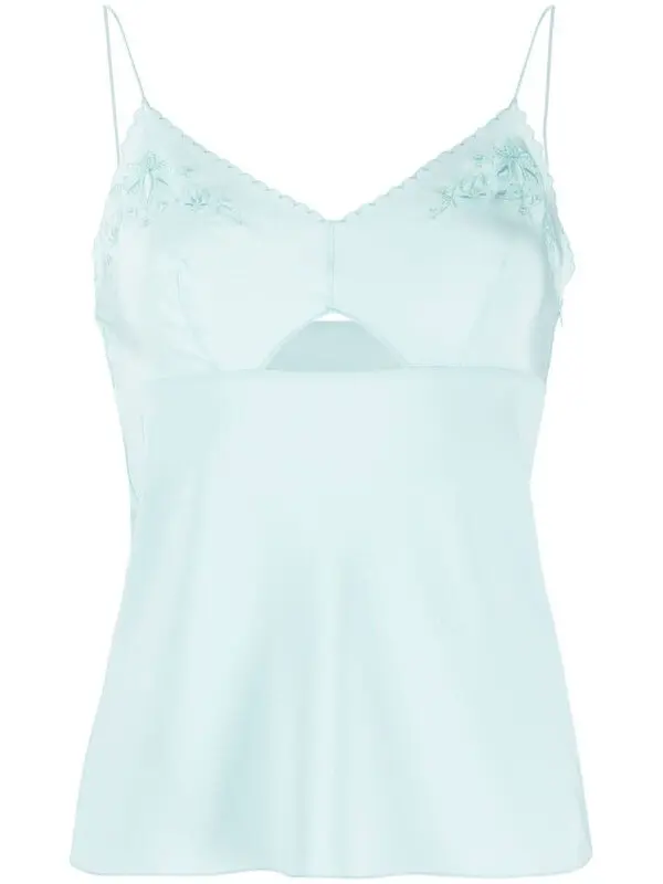 Alberta Ferretti Floral-embroidered Silk Cami