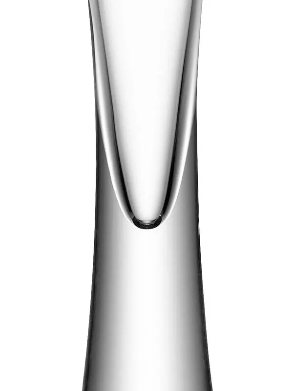 LSA INTERNATIONAL Moya Two-piece Champagne Flute