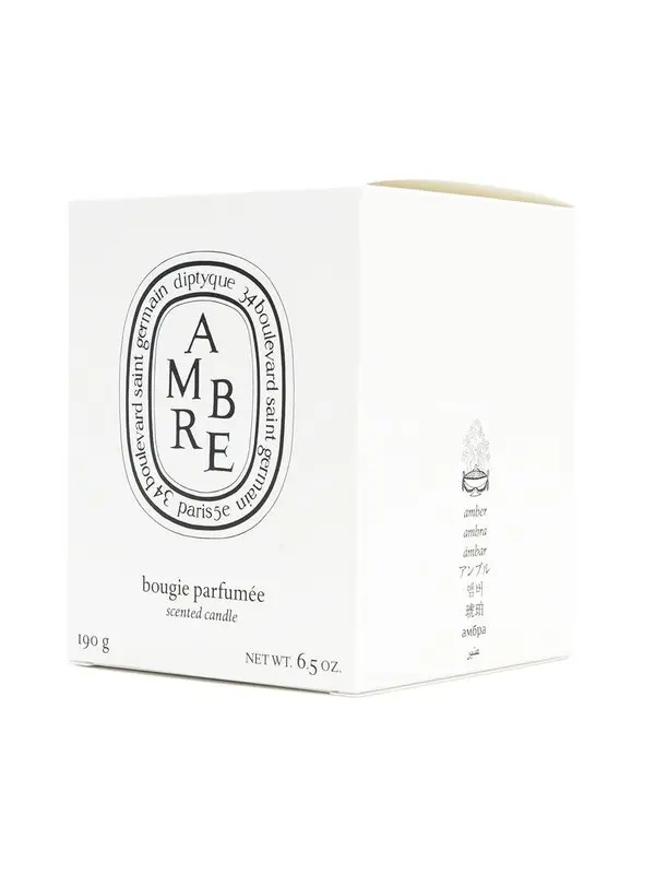 DIPTYQUE Ambre 190 Candle