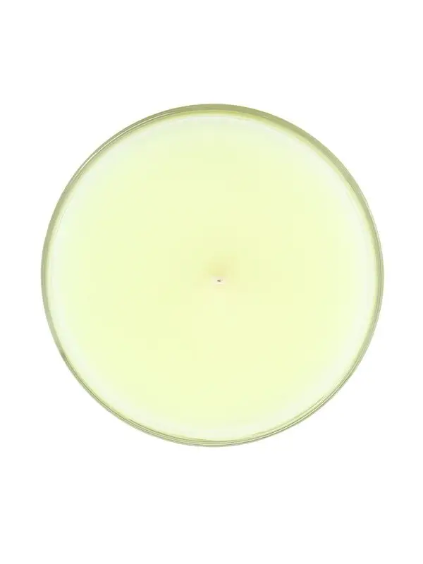 DIPTYQUE Mini Tubereuse Candle - Neutrals