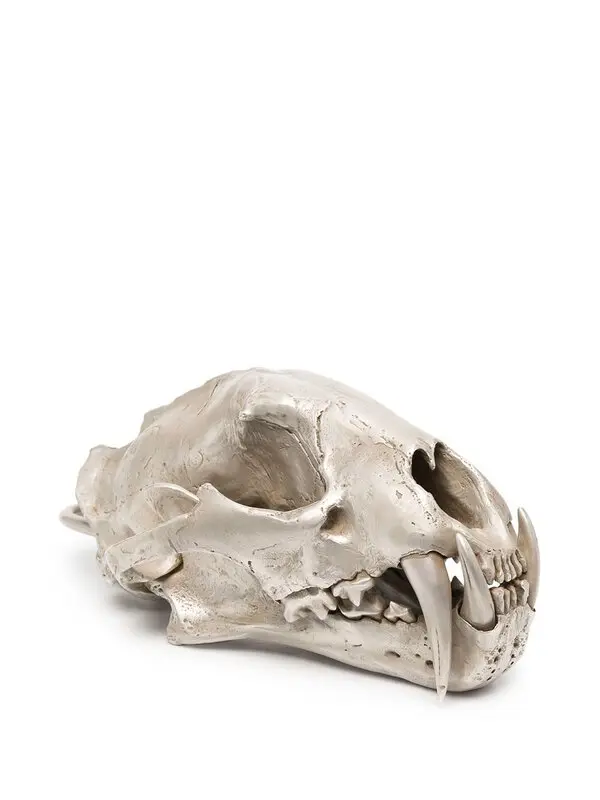 PARTS OF FOUR Replica Leopard Skull