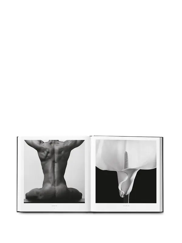 PHAIDON PRESS Robert Mapplethorpe