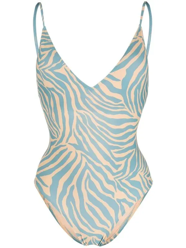 Anjuna Zebra-print One-piece Swimsuit - Blue