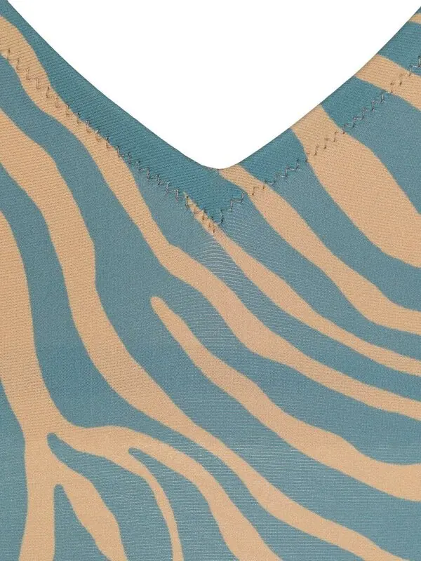 Anjuna Zebra-print One-piece Swimsuit