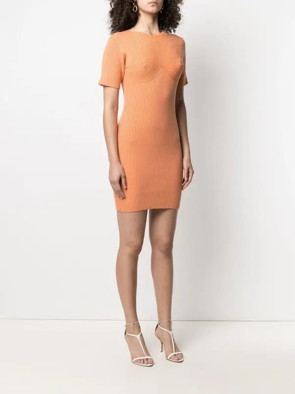 Stella McCartney Rib-detail Bodycon Dress