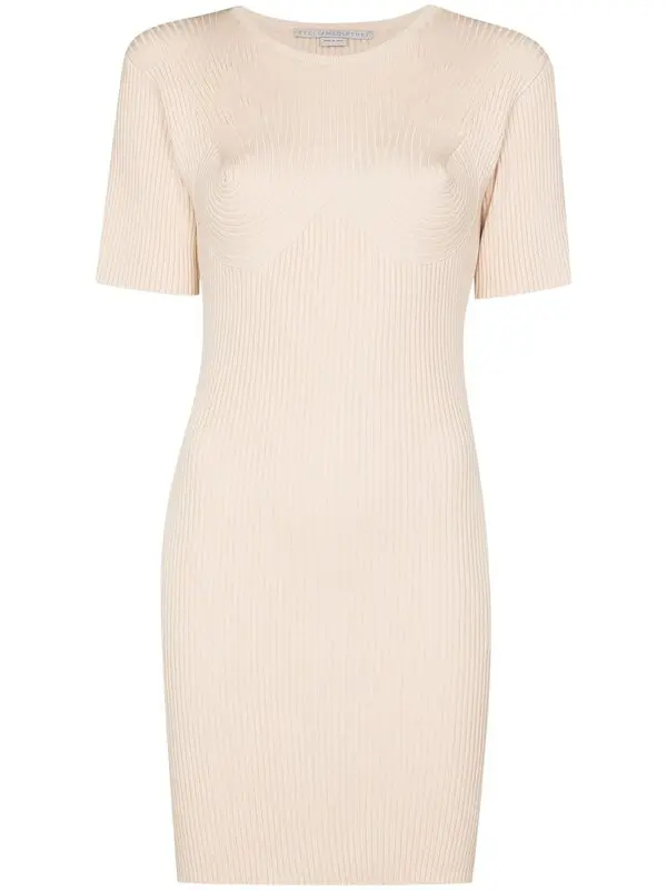 Stella McCartney Ribbed Knitted Mini Dress