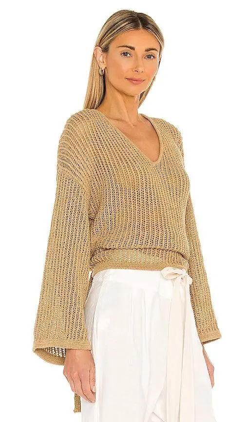 Cult Gaia Catherine Hoodie In Tan