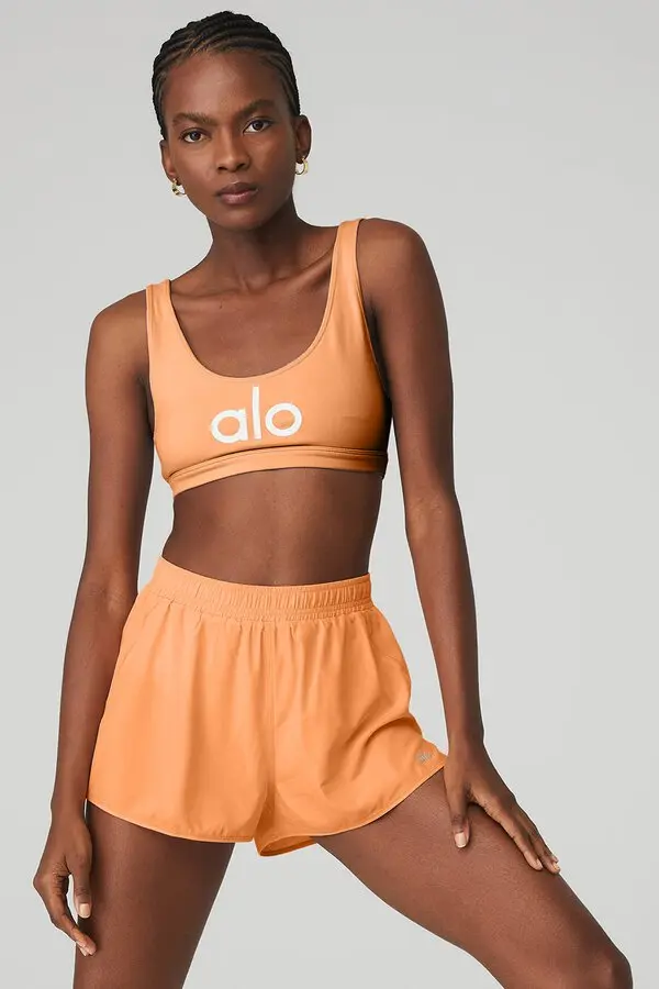 Alo Yoga Ambient Logo Bra