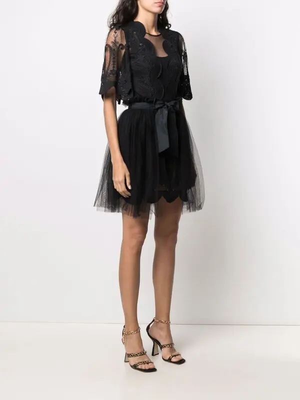 Elisabetta Franchi Lace-panelled Tulle Mini Dress