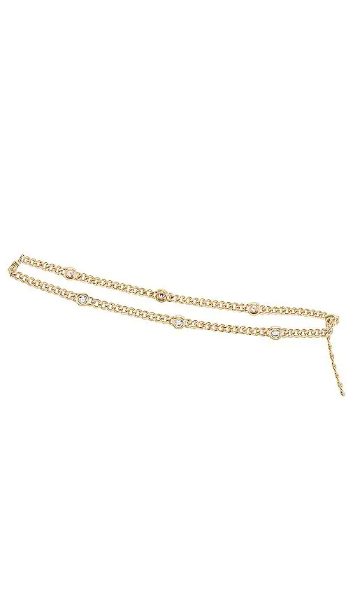 Lili Claspe Daisy Medium Link Anklet