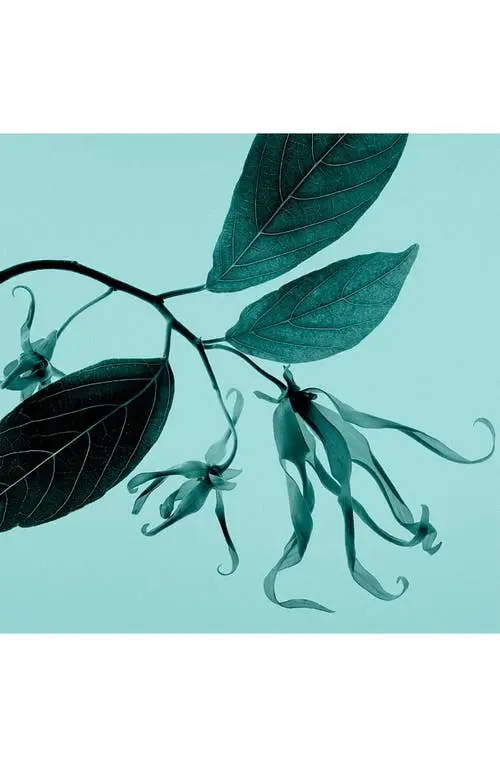 Tiffany & Co. Sheer Eau De Toilette