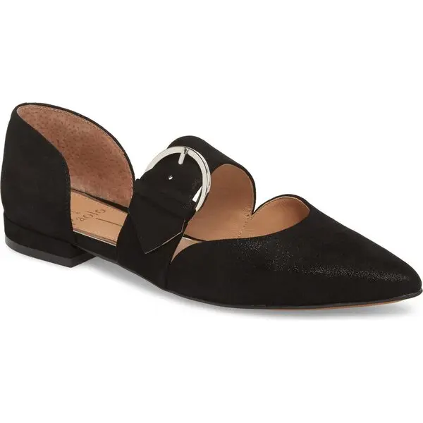 Linea Paolo Dean Pointy Toe Flat