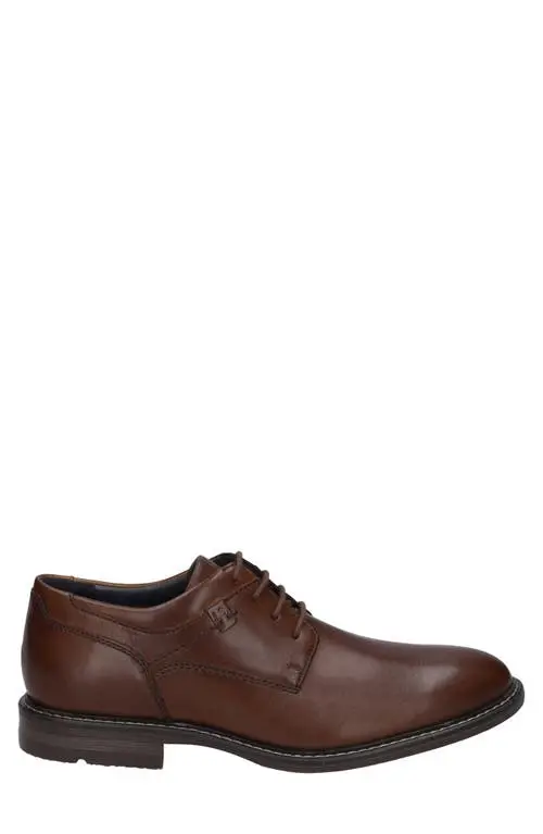 Josef Seibel Earl Plain Toe Derby - Cognac Arezzo