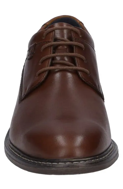 Josef Seibel Earl Plain Toe Derby - Cognac Arezzo