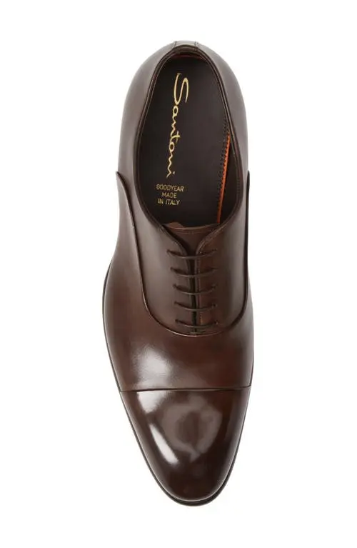 Santoni Isaac Cap-toe Oxford - Dark Brown