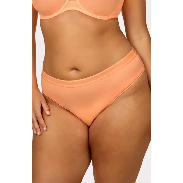 CURVY COUTURE Sheer Mesh High-cut Briefs - Orange Tang