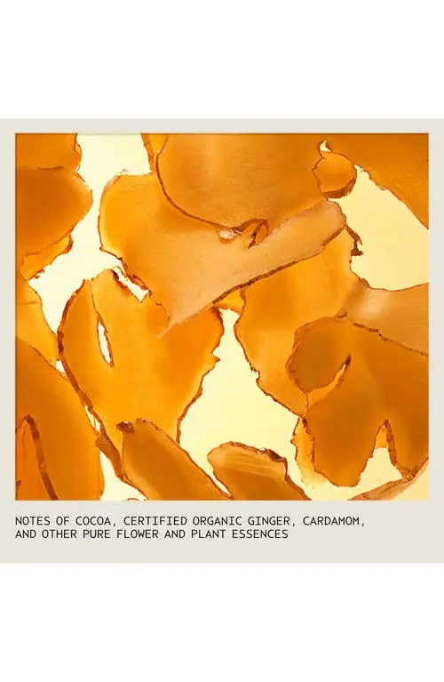 Aveda Nutriplenish™ Light Moisture Conditioner - No Color