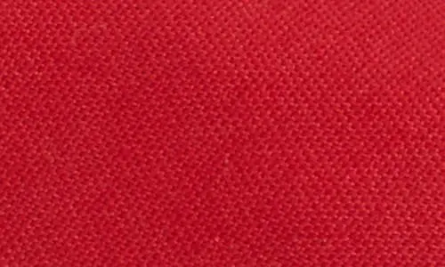 VANS Authentic Lace-up Sneakers - Red