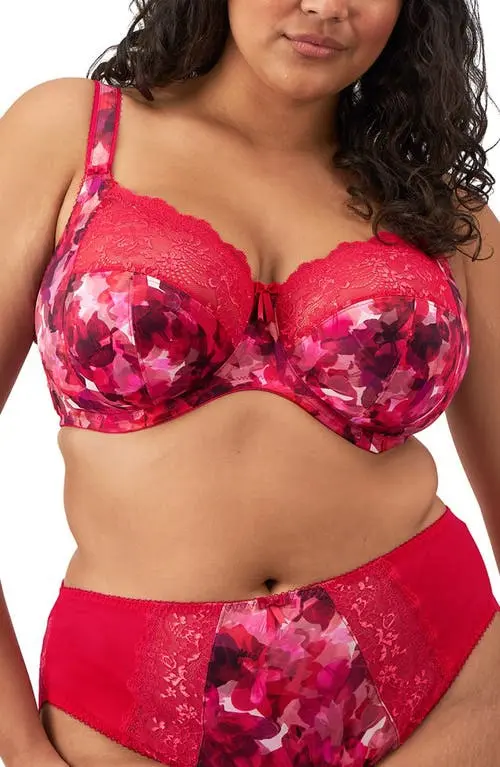 Elomi Morgan Full Figure Underwire Bra - Berry Crush