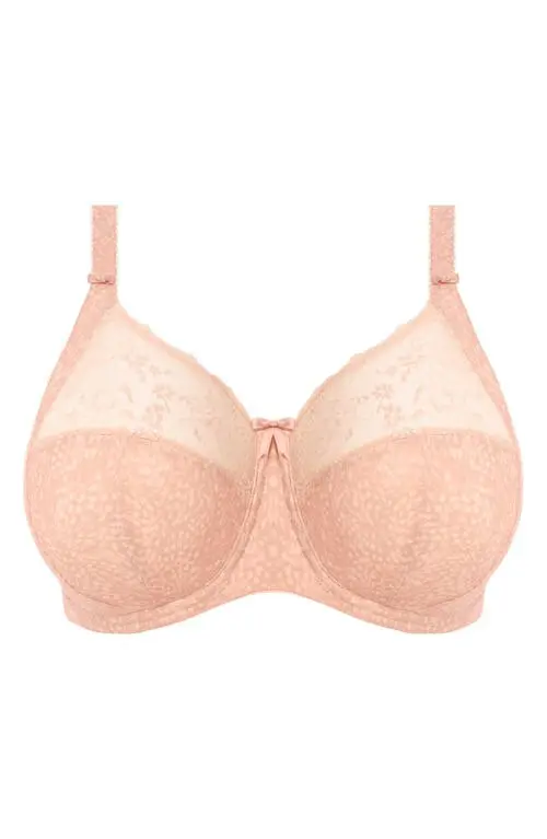 Elomi Morgan Full Figure Underwire Bra - Cameo Rose