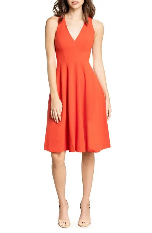 Dress The Population Catalina Fit & Flare Cocktail Dress - Poppy