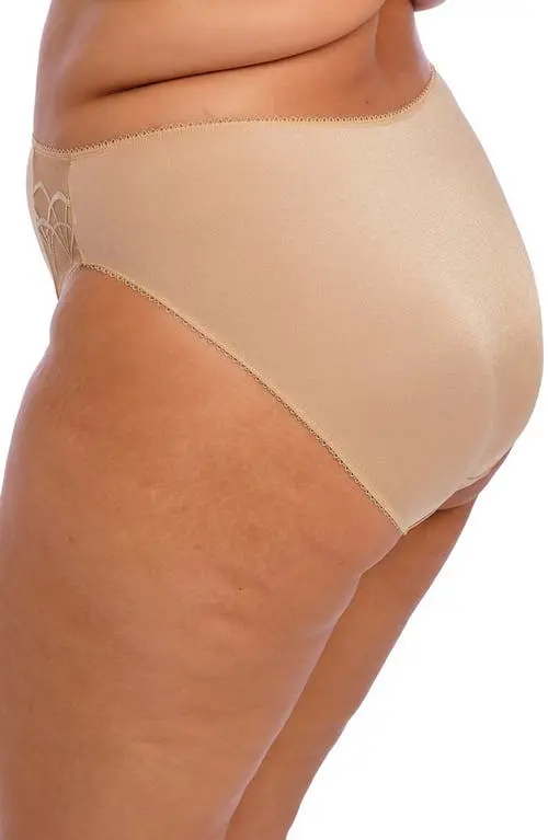 Elomi Cate Full Figure Briefs - Hazel