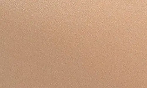 Elomi Cate Full Figure Briefs - Hazel