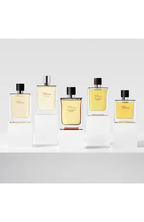 Hermès Terre D’pure Perfume - No Color
