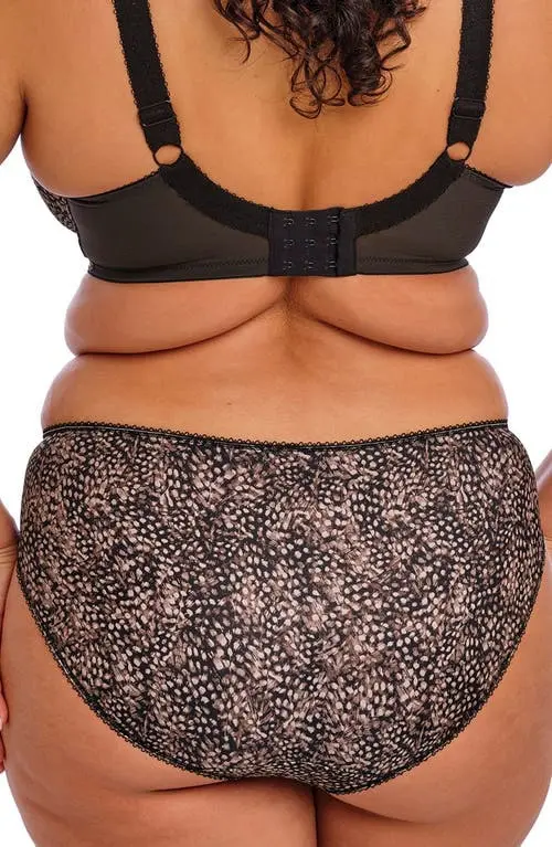 Elomi Morgan Full Figure Briefs - Ebony
