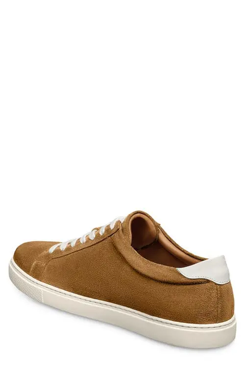 Allen Edmonds Courtside Leather Sneaker - Fawn