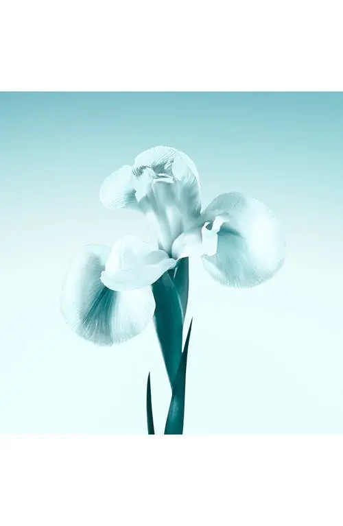 Tiffany & Co. Eau De Parfum