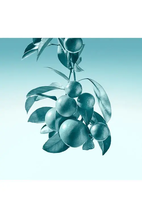 Tiffany & Co. Eau De Parfum
